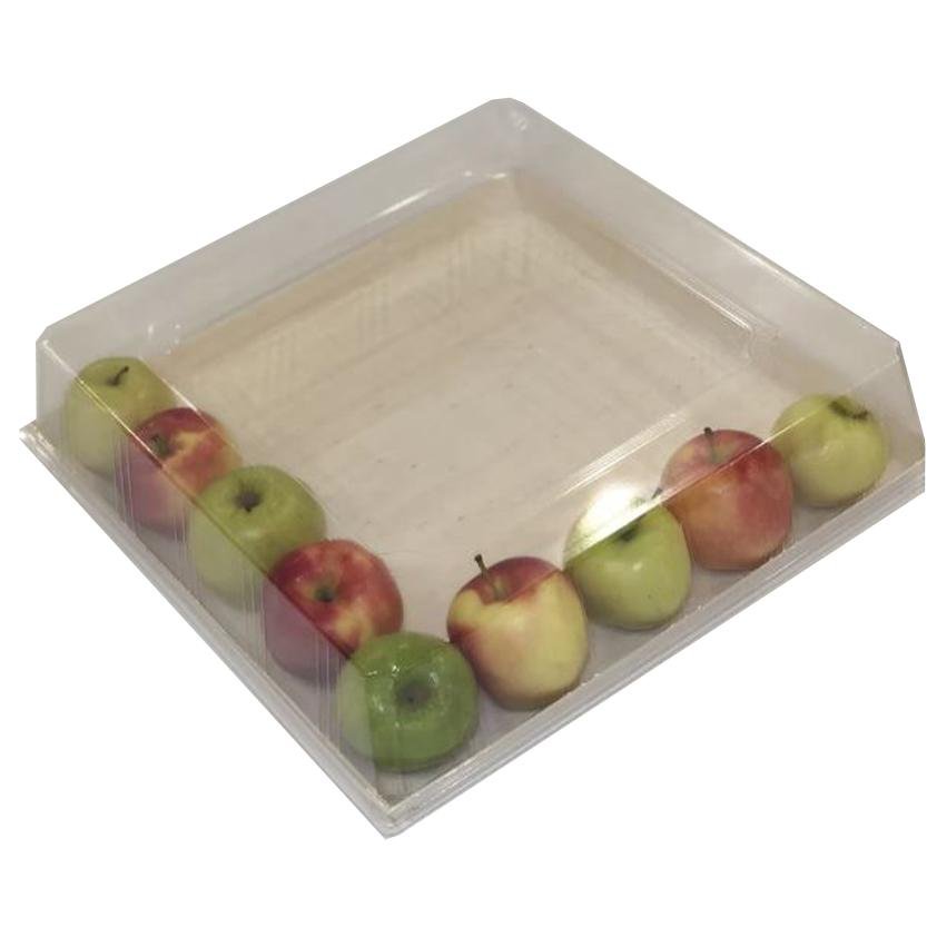 To-Go Trays | Covered Tray - 16" x 16" | Catering Supplies Online ...